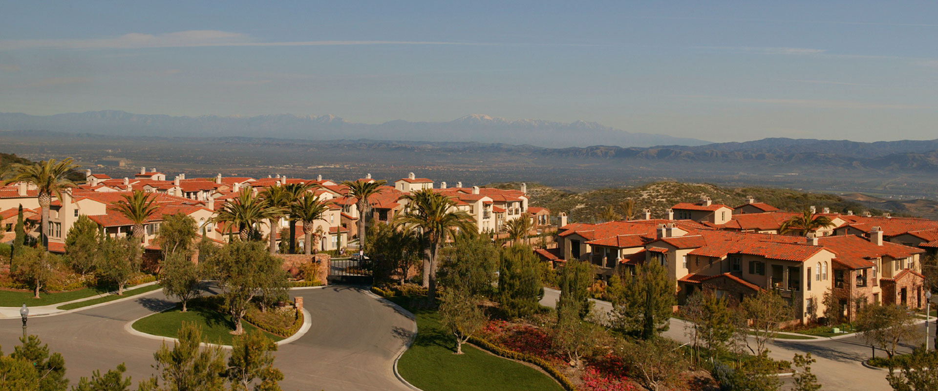 ZIANI - JZMK Partners