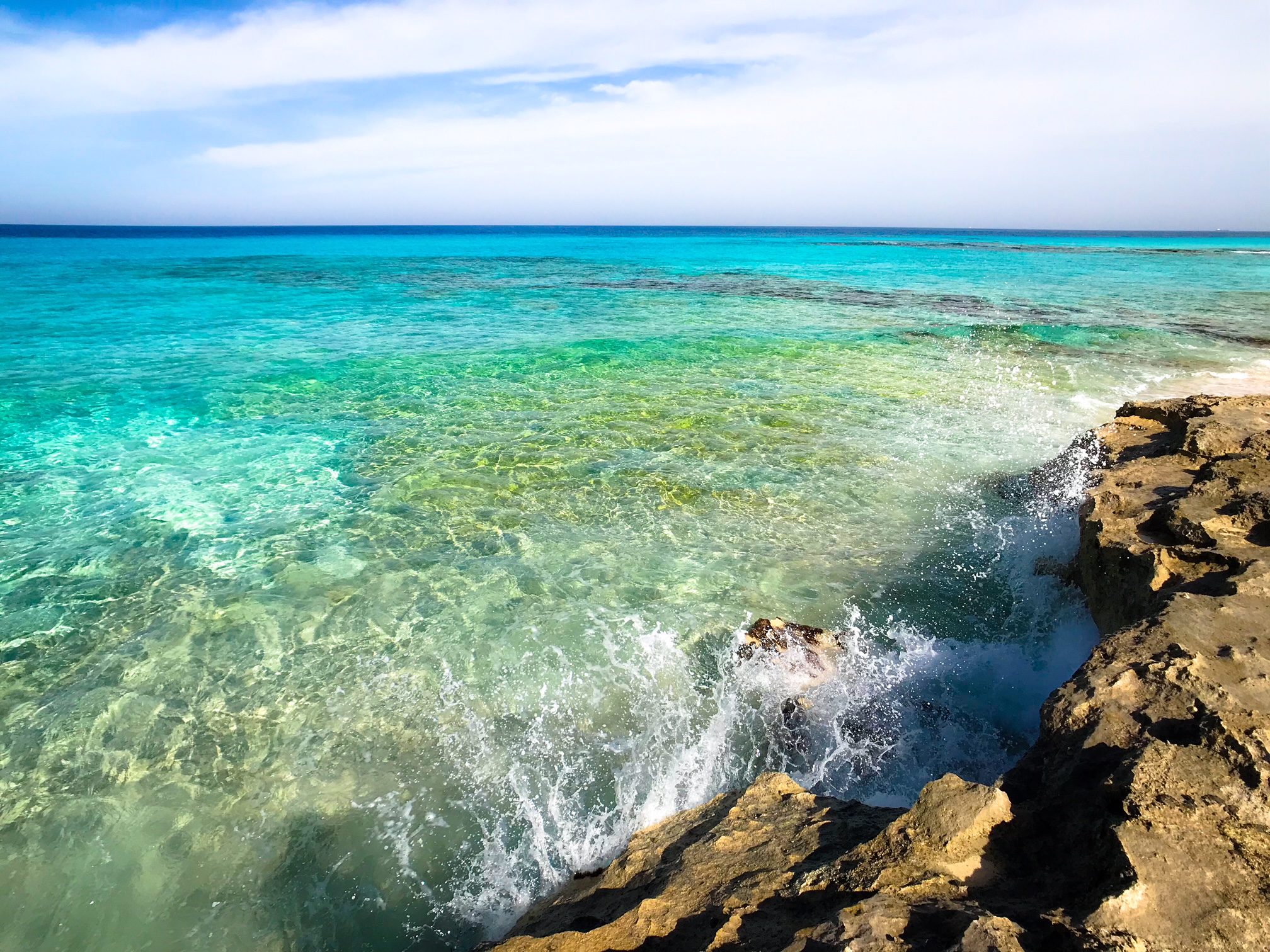 MARASSI BAY - FIRST IMPRESSIONS - JZMK Partners