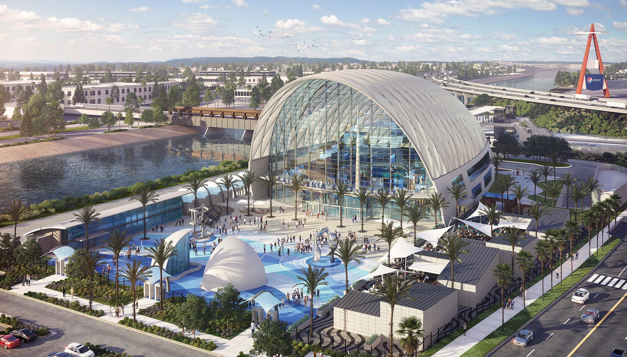 THE CALIFORNIA SURF STORY - JZMK Partners